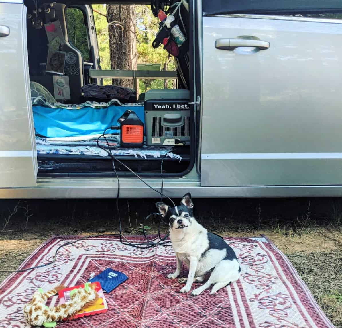 Van Life With Dogs: 15 Tips For You And Your Fur Baby - The Wayward Home