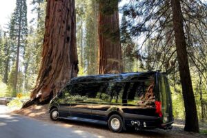 4 Vans You Can Stand Up In [And A Few Other Options] - The Wayward Home ...