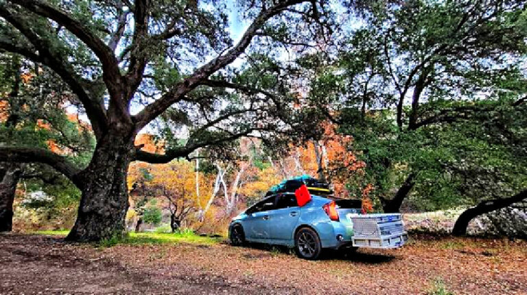 Turn Your Prius into a Camper with These Amazing Prius Camping Ideas ...