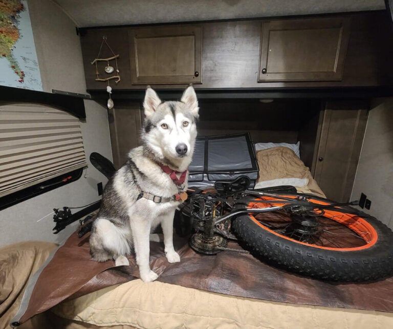 15 RV Bumper Storage Ideas to Maximize Space