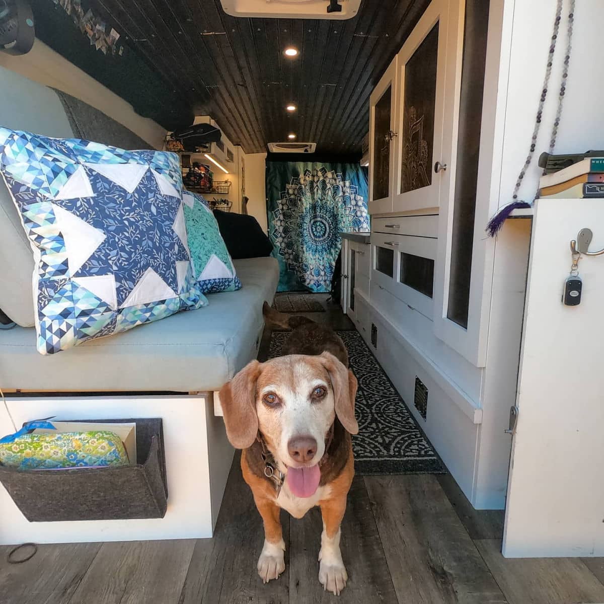 Jaw-Dropping Camper Van Decor Ideas You Need to See