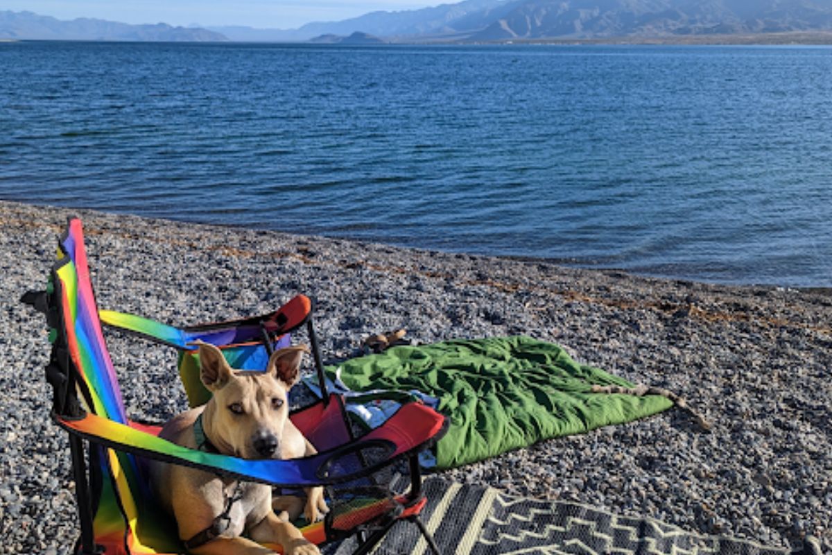 The Ultimate Baja Road Trip: Insider Tips, Tricks, and Must-Knows