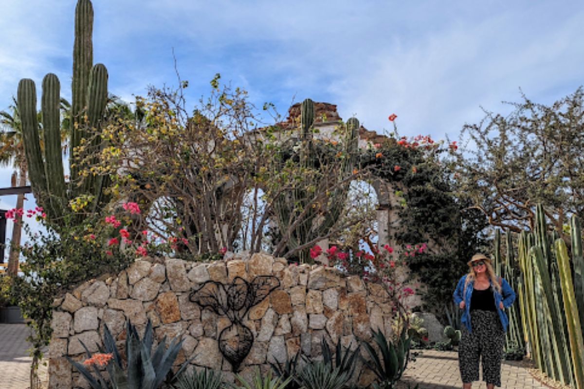 The Ultimate Baja Road Trip: Insider Tips, Tricks, and Must-Knows