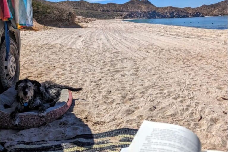 The Ultimate Baja Road Trip: Insider Tips, Tricks, and Must-Knows