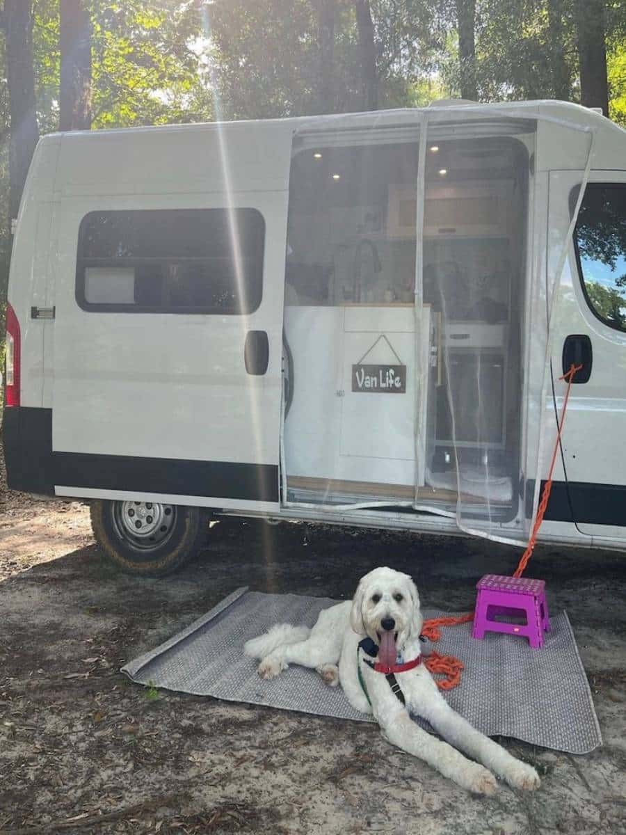 Van Life 101: The Ultimate Guide to Choosing and Living in a Campervan ...