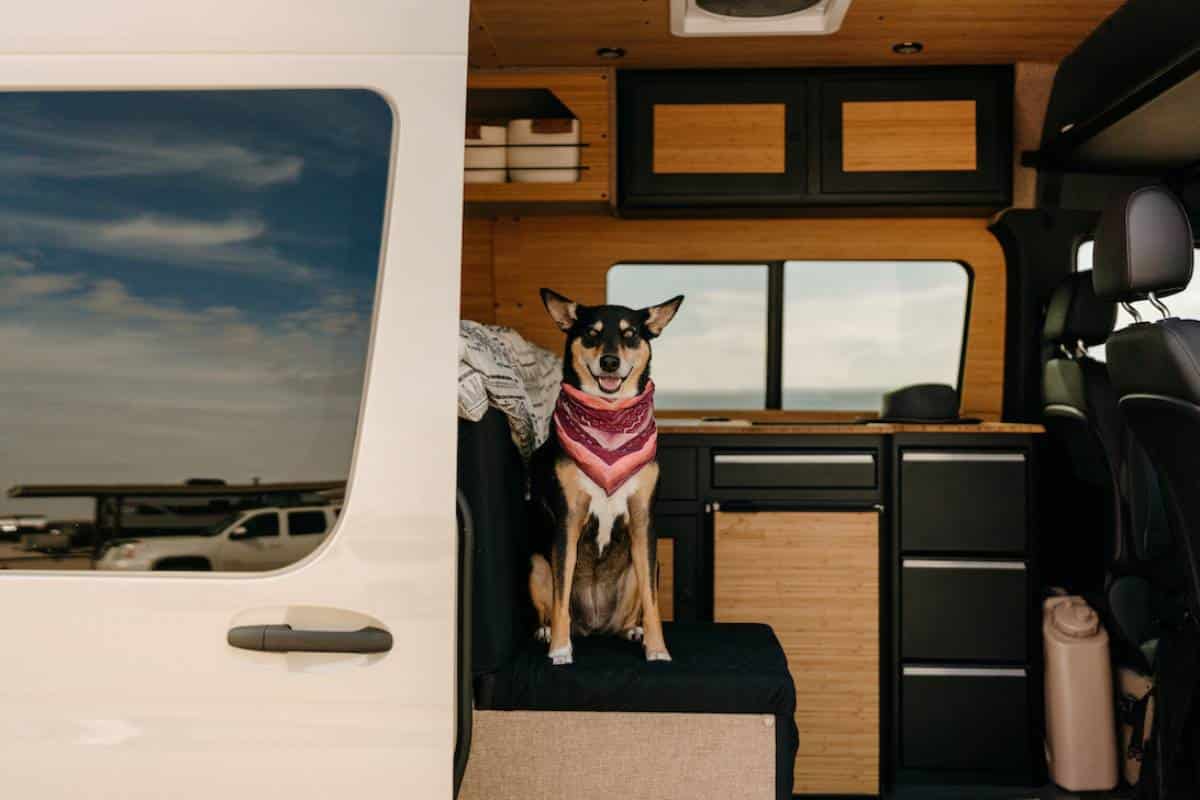 Van Life 101: The Ultimate Guide to Choosing and Living in a Campervan ...
