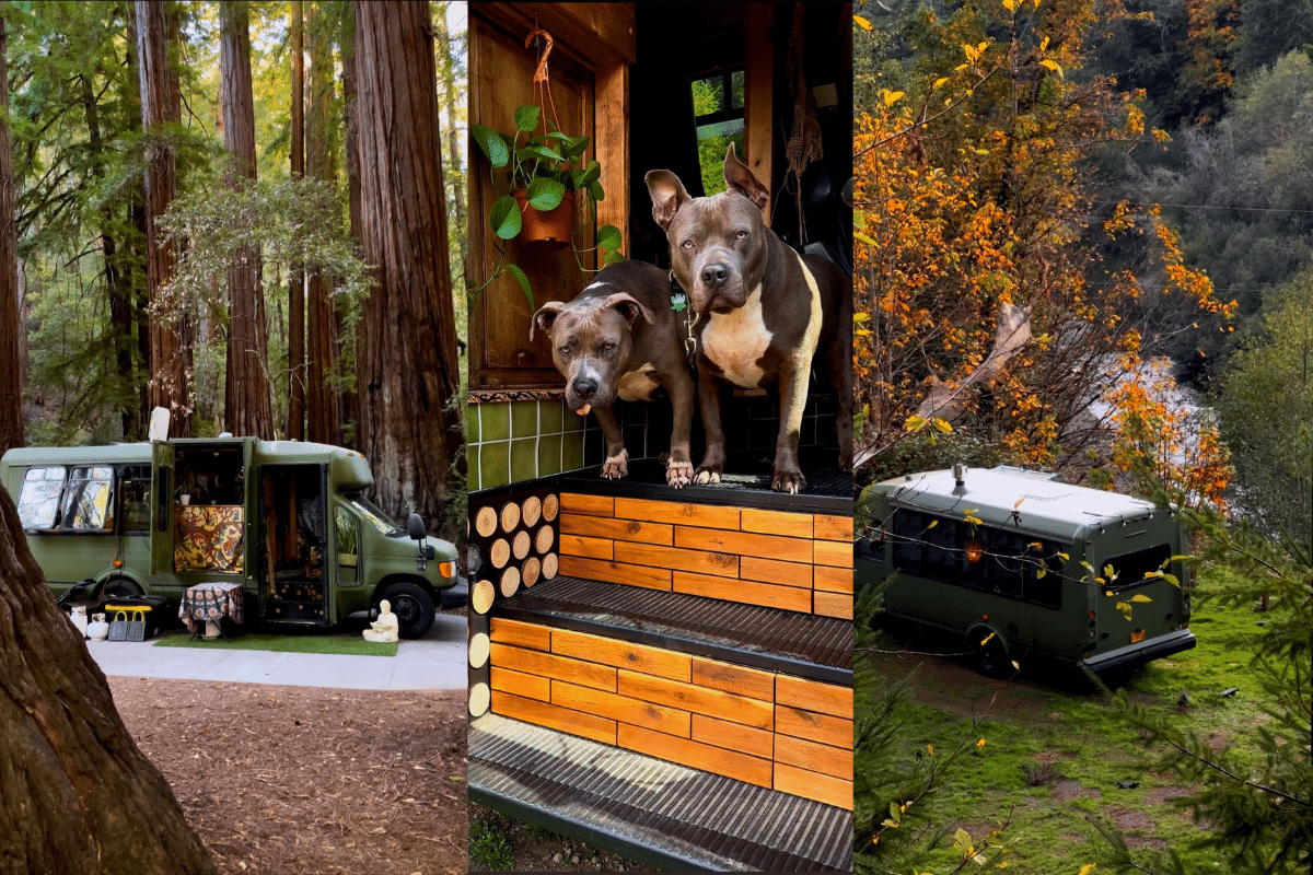 Epic Shuttle Bus Conversions: 13 Campers You Need to See - The Wayward ...