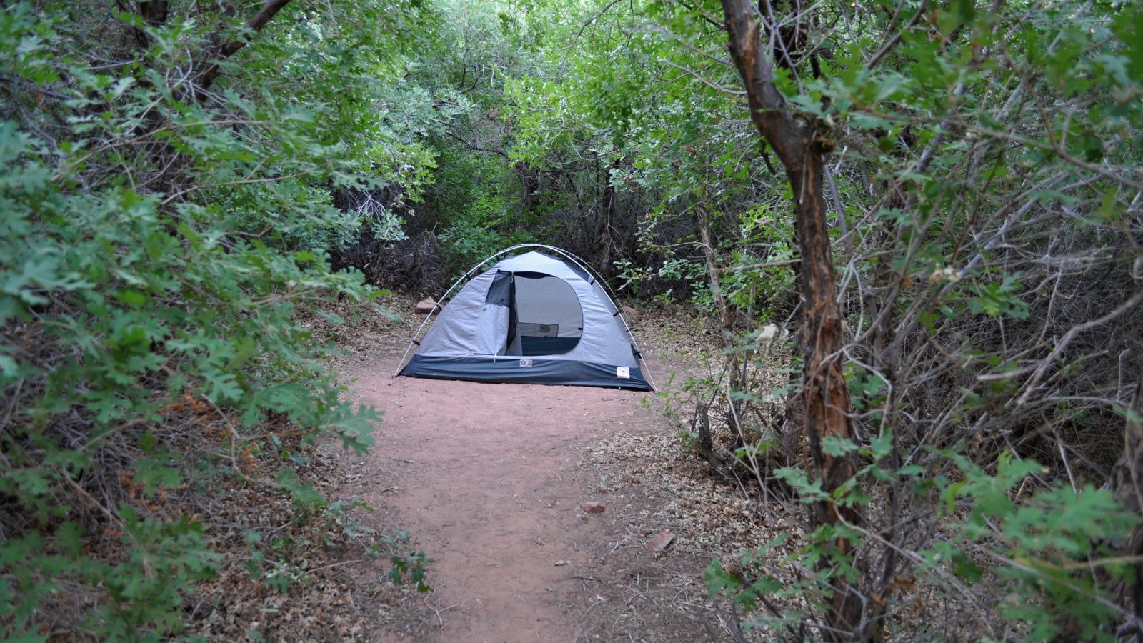 11 California Beach Camping Destinations You Won't Want to Miss - The ...