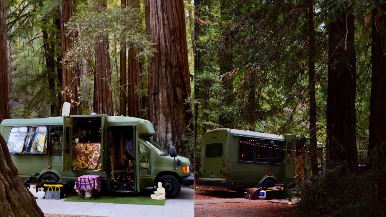 From Homeless to Treehouse on Wheels: A Couple's Epic Shuttle Bus ...