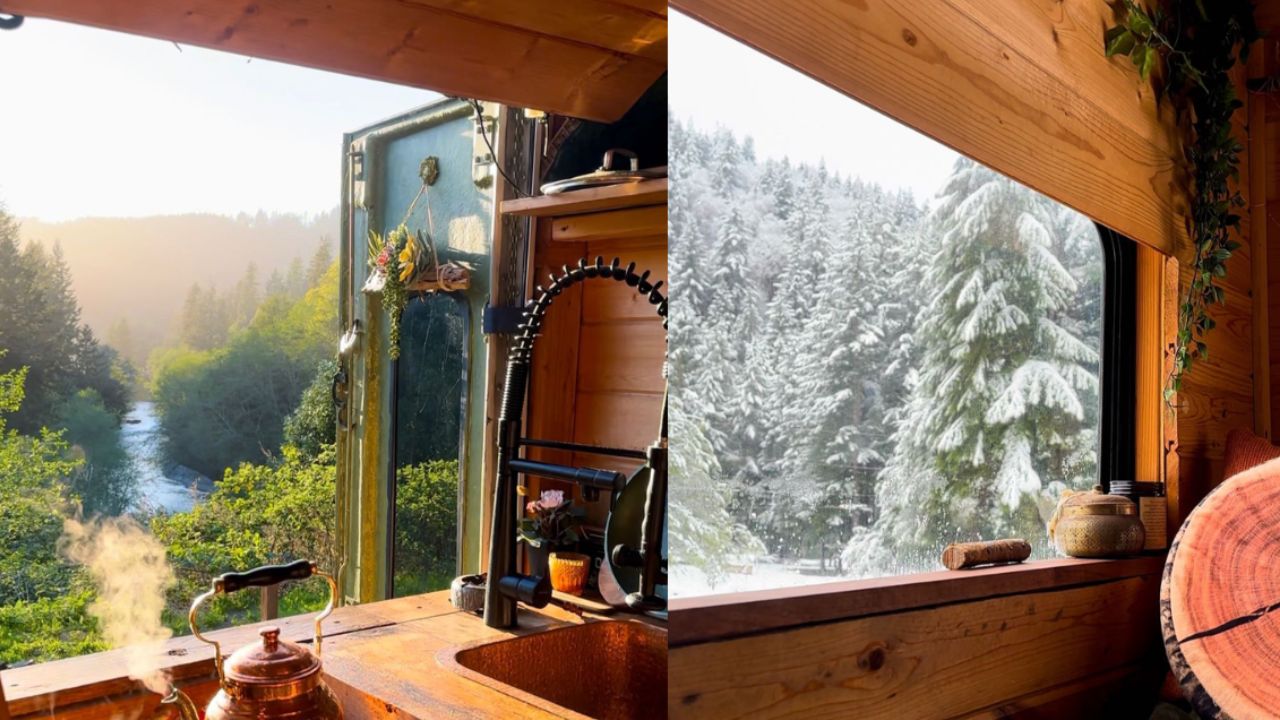 From Homeless to Treehouse on Wheels: A Couple's Epic Shuttle Bus ...